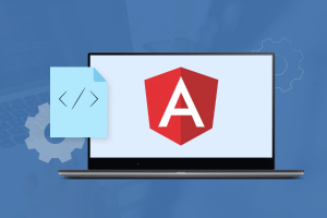AngularJS Development Company in the USA