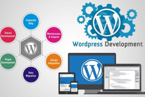 WordPress Web Design Company